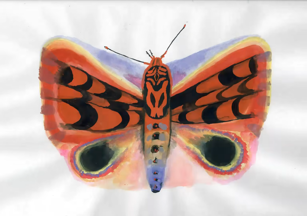 Media Catalogue | Animate Materials