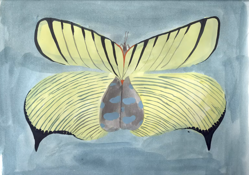 MOTH | Animate Materials