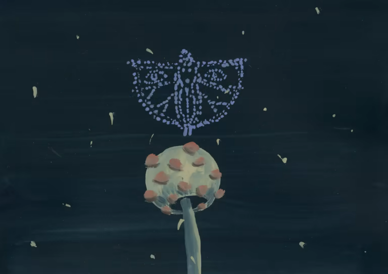 MOTH | Animate Materials